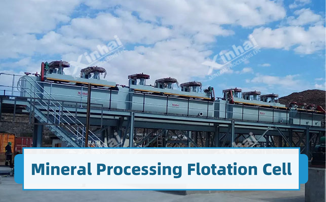 Flotation Cell | Working Principle, Type, Influencing Factors